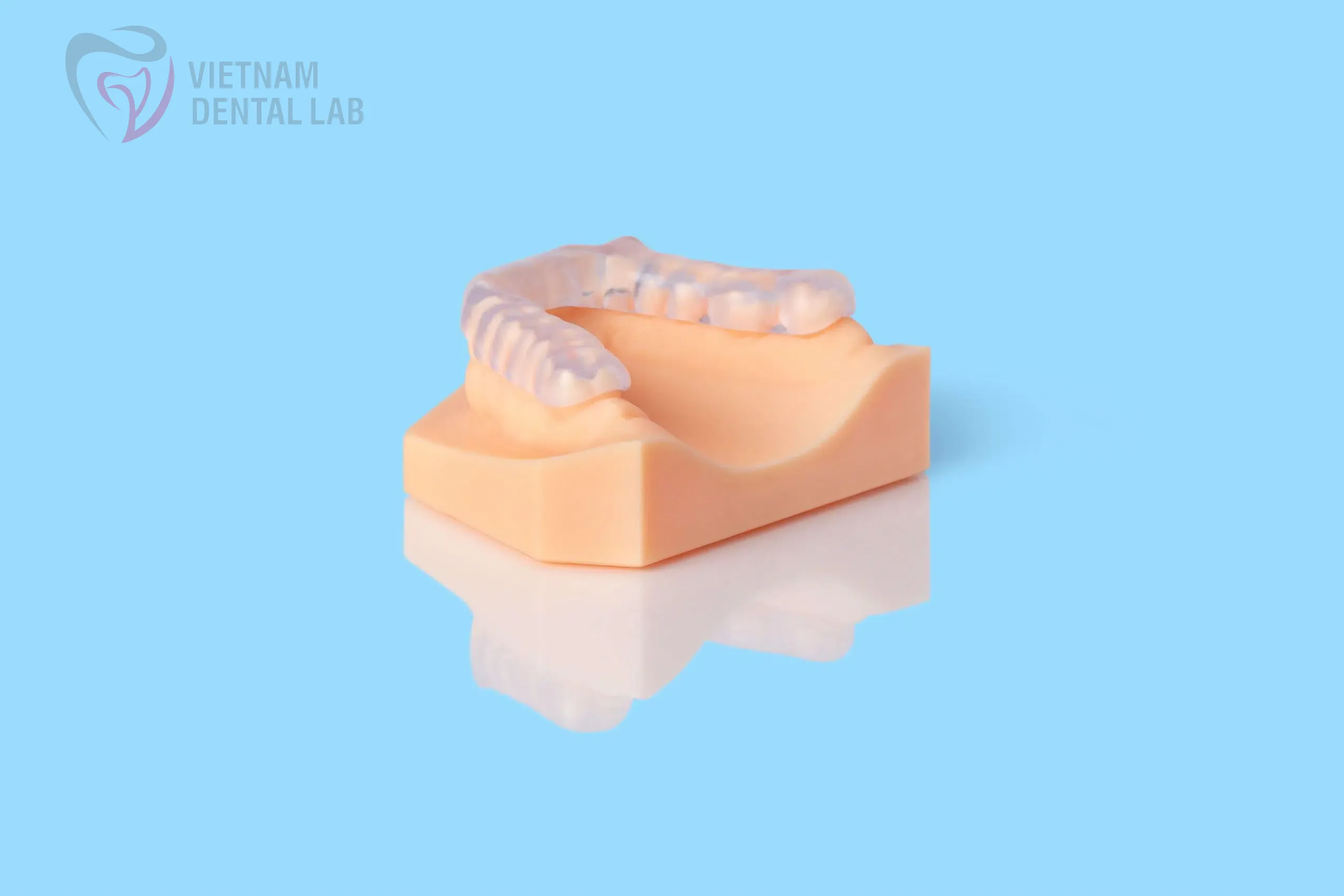 3D-printed soft splints - Splints - Products | Vietnam Dental Lab