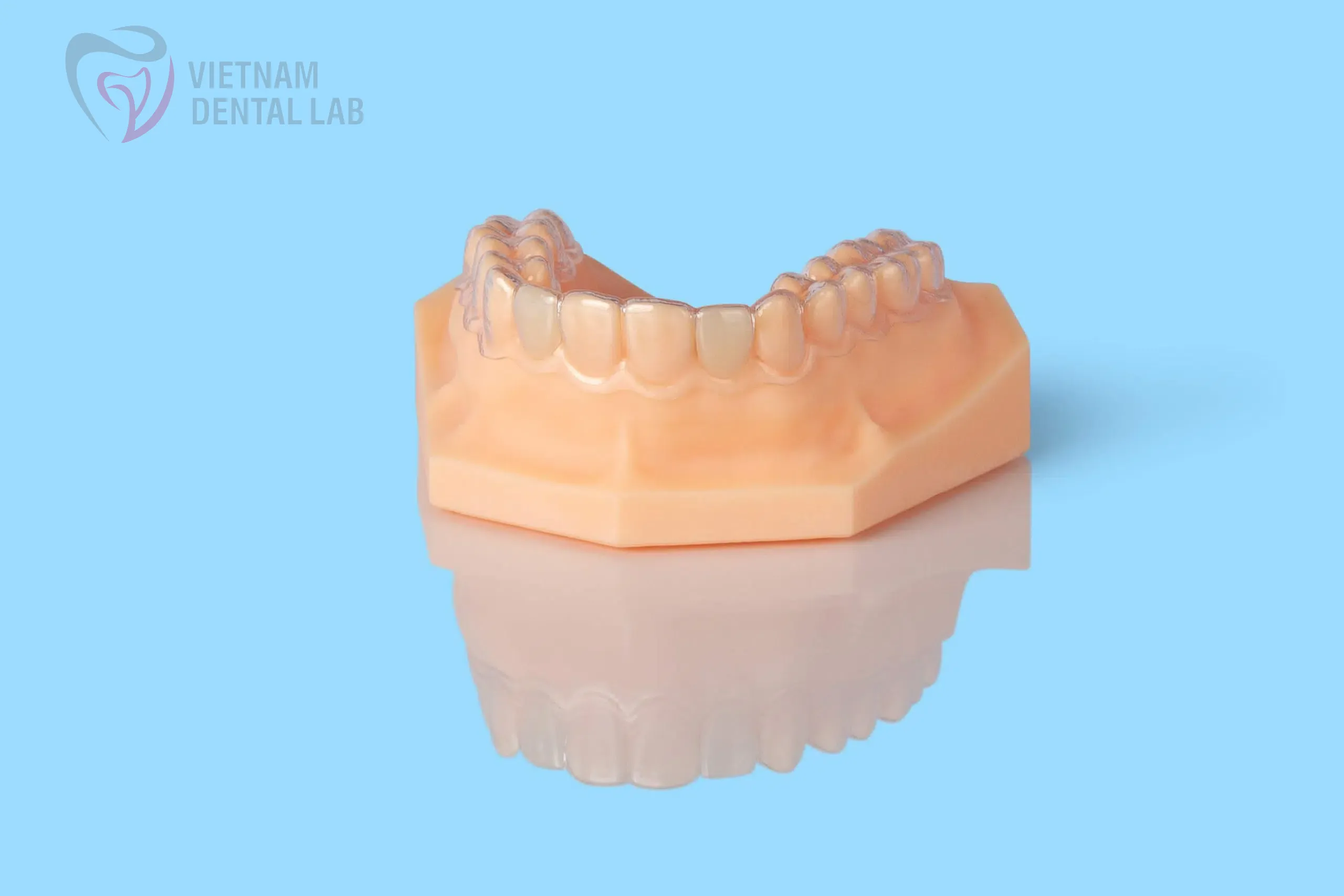 Essix retainer - - Products | Vietnam Dental Lab