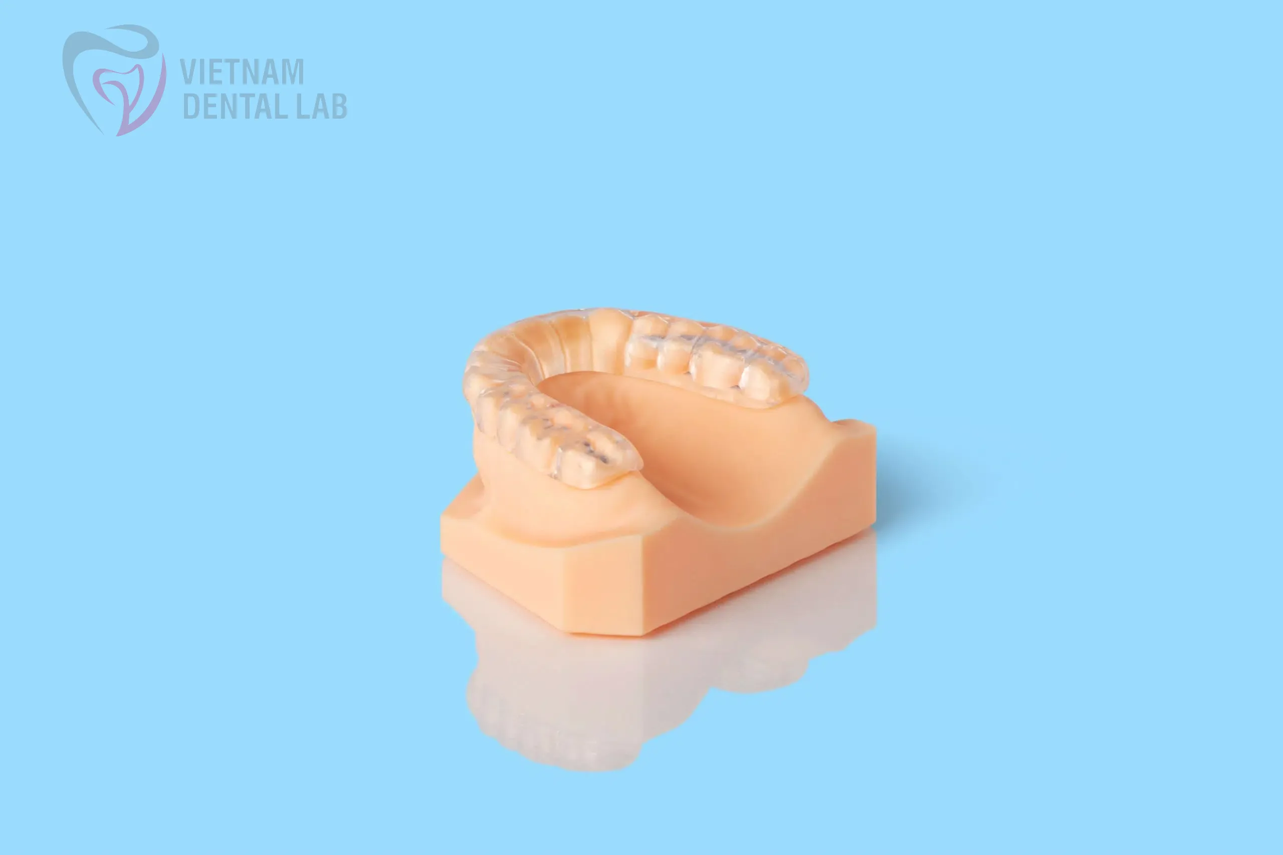 Milled hard splints - Splints - Products | Vietnam Dental Lab